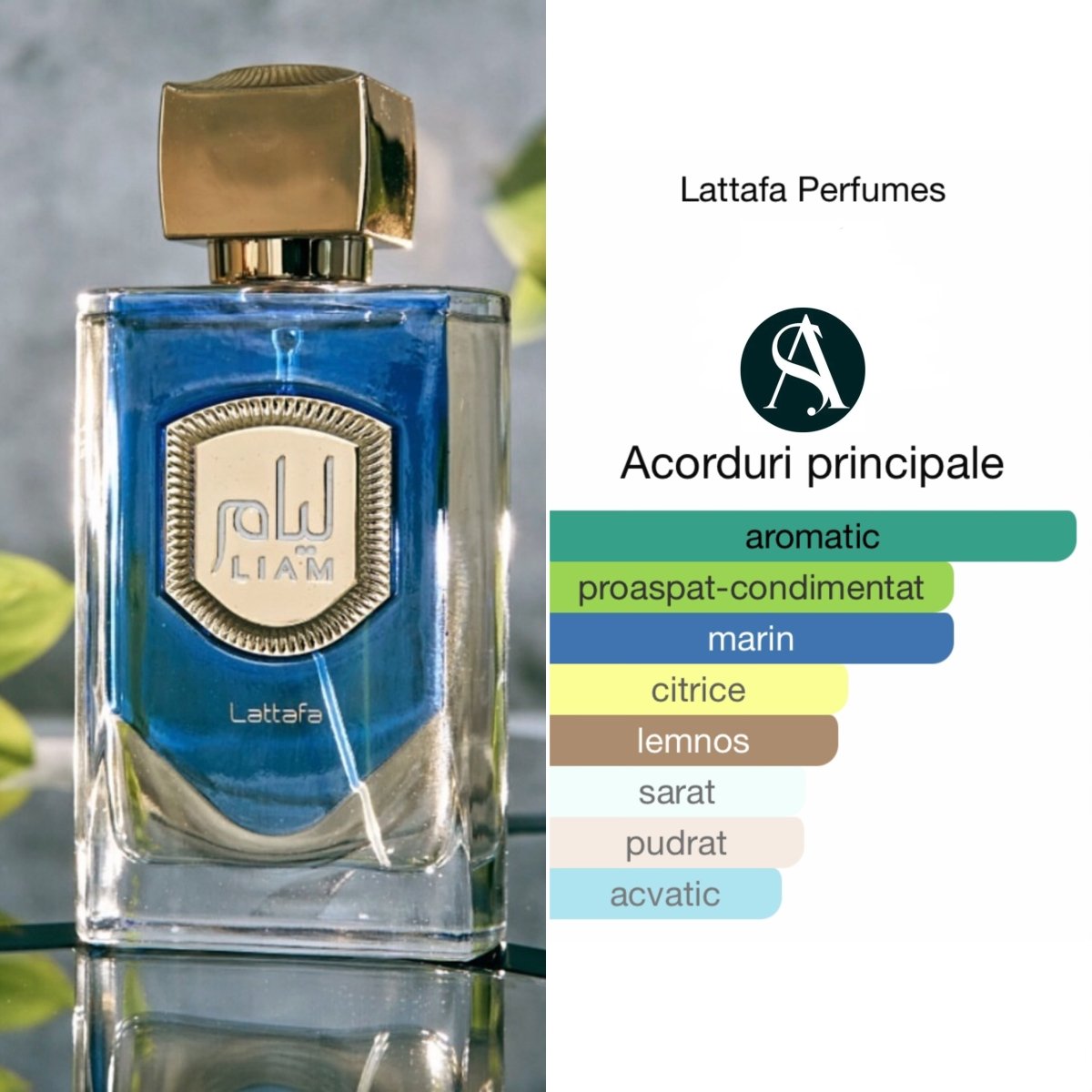 Parfum arabesc barbati Liam Blue Shine – prospețime acvatică – ALSA SHOP